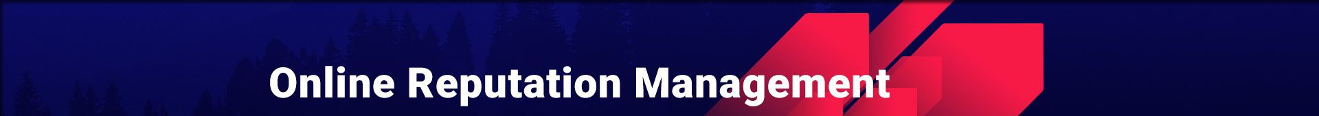 Online Reputation Management Service | Website Depot