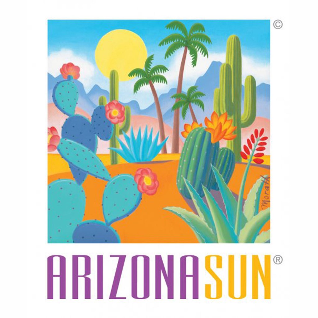 Digital Marketing Agency Case Study: Arizona Sun